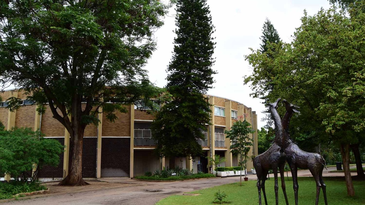 All Posts - NMMZ - National Museums & Monuments of Zimbabwe